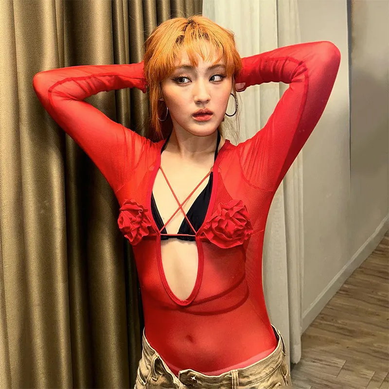 Flower Appliques Mesh Long Sleeve Bodysuit - NEWME